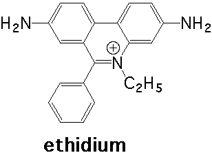 Untitled [williams.chemistry.gatech.edu]