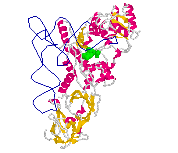 tRNA Synthetase Page