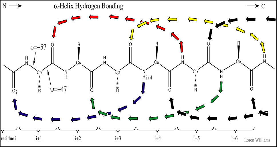 alpha-helix homepage